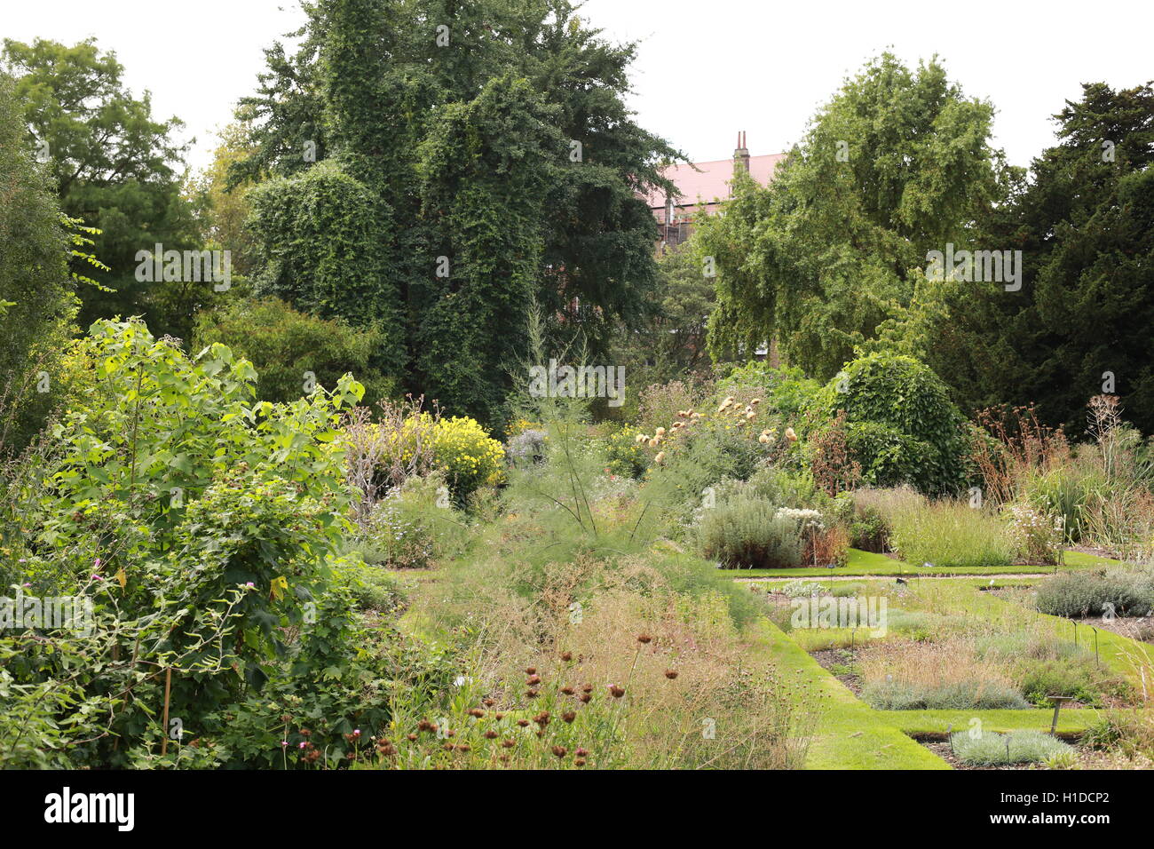 Chelsea Physic Garden Stock Photo - Alamy