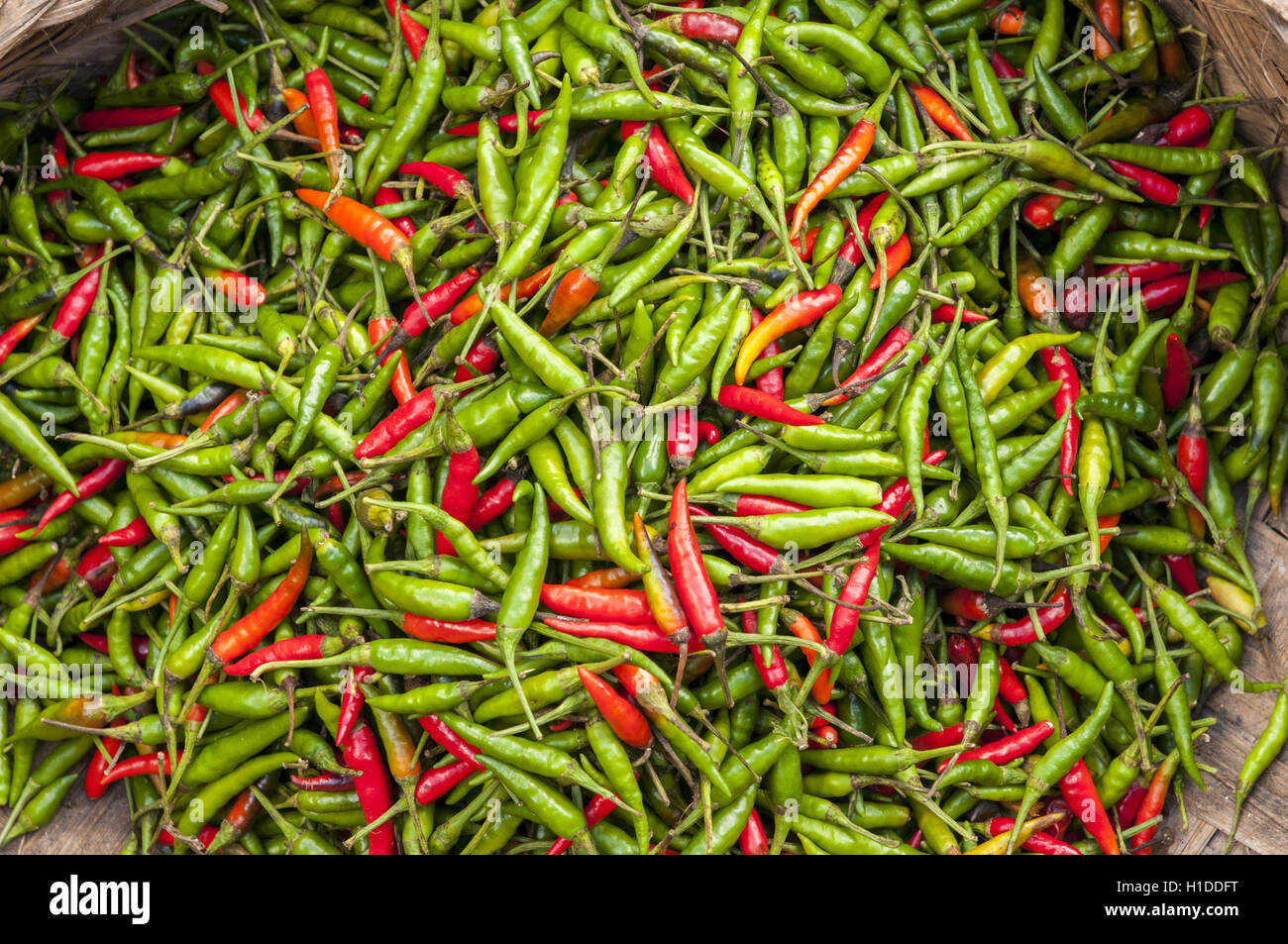 Indonesia, Bali, Ubud, Indonesian chilis Stock Photo - Alamy