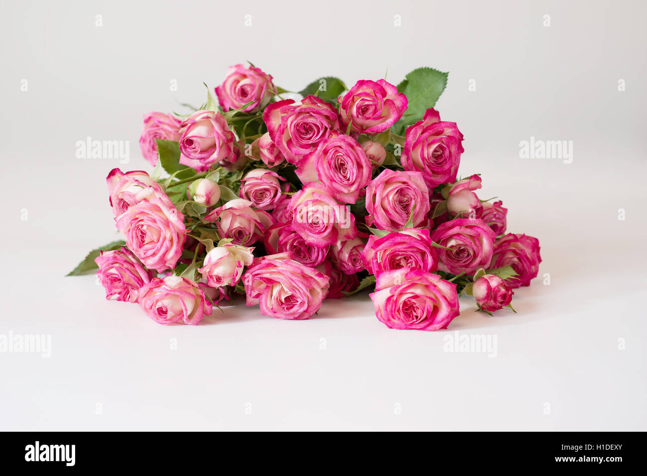 Bouquet of pink roses Stock Photo - Alamy