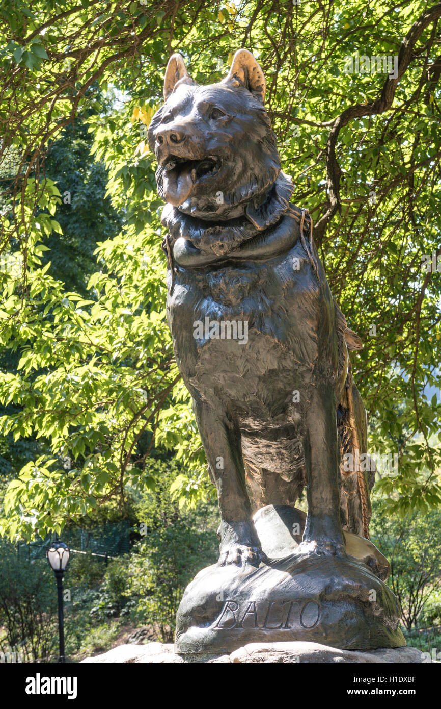 Sled Dog Statue, Balto, in Central Park NYC Stock Photo - Alamy