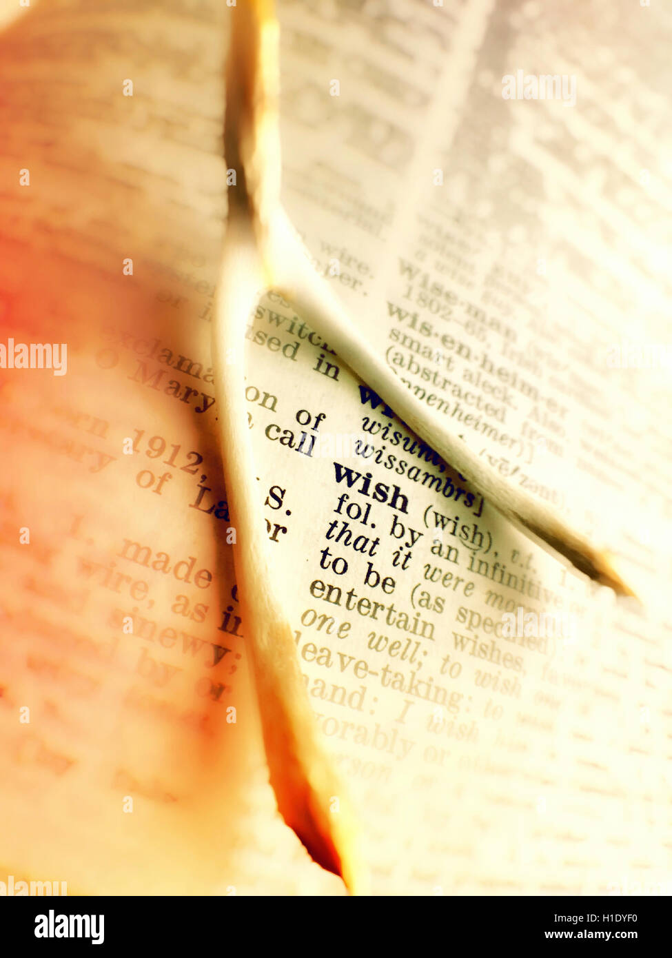 Wishbone and Wish Dictionary Definition Stock Photo - Alamy