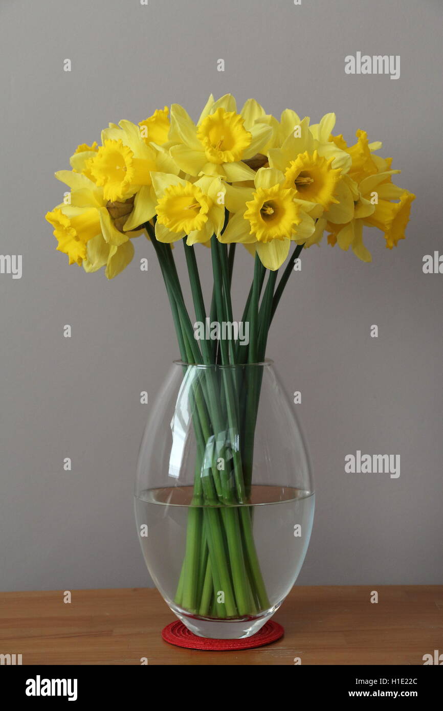 Bunch of daffodils in a glass vase Stock Photo - Alamy