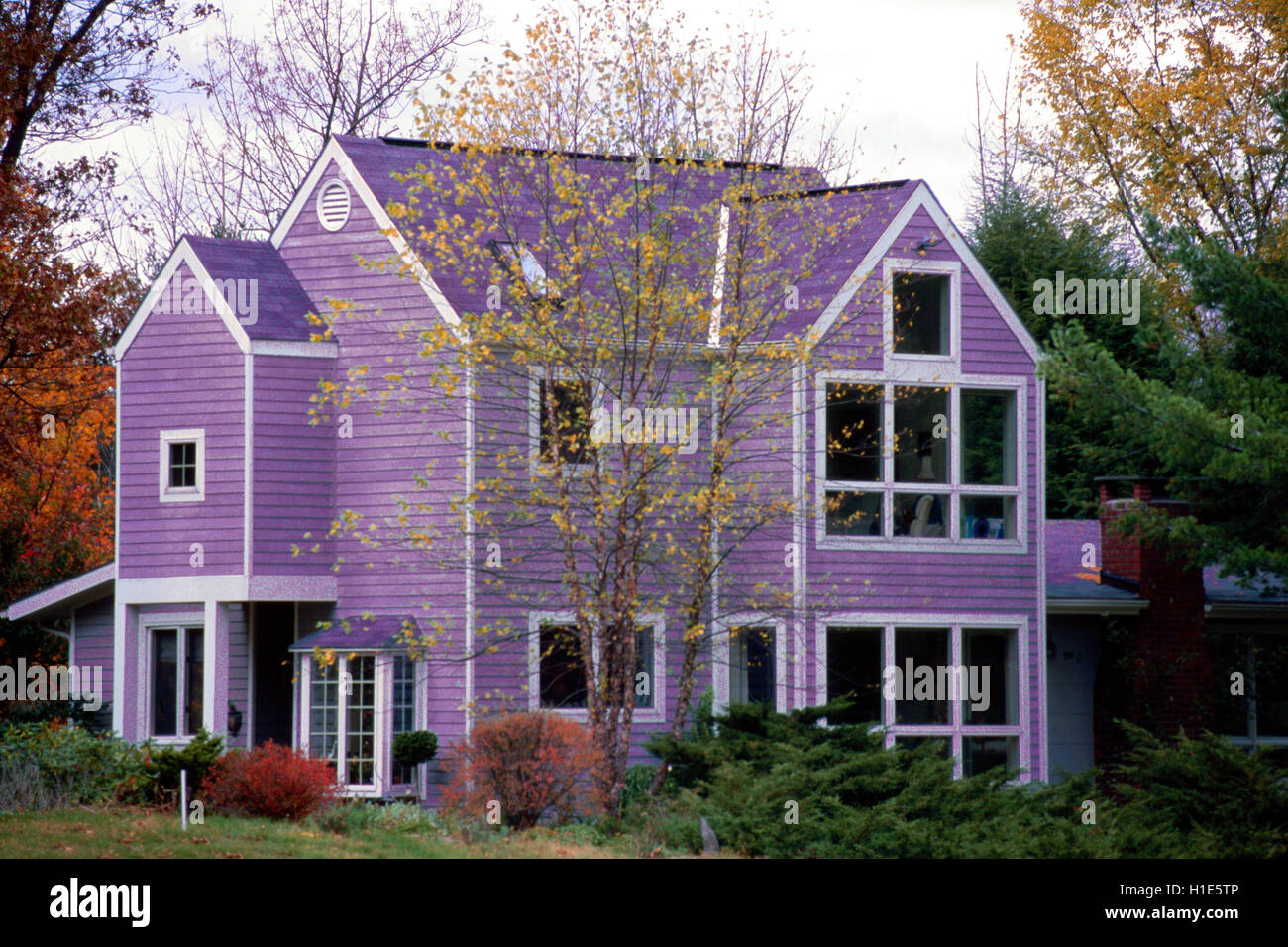 House in four seasons Stock Photo - Alamy