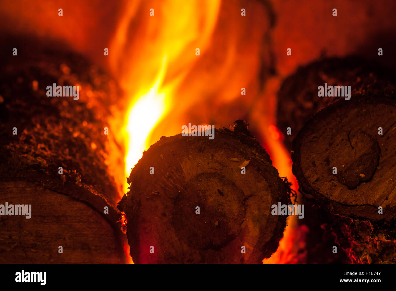 Wood fire burning Stock Photo - Alamy
