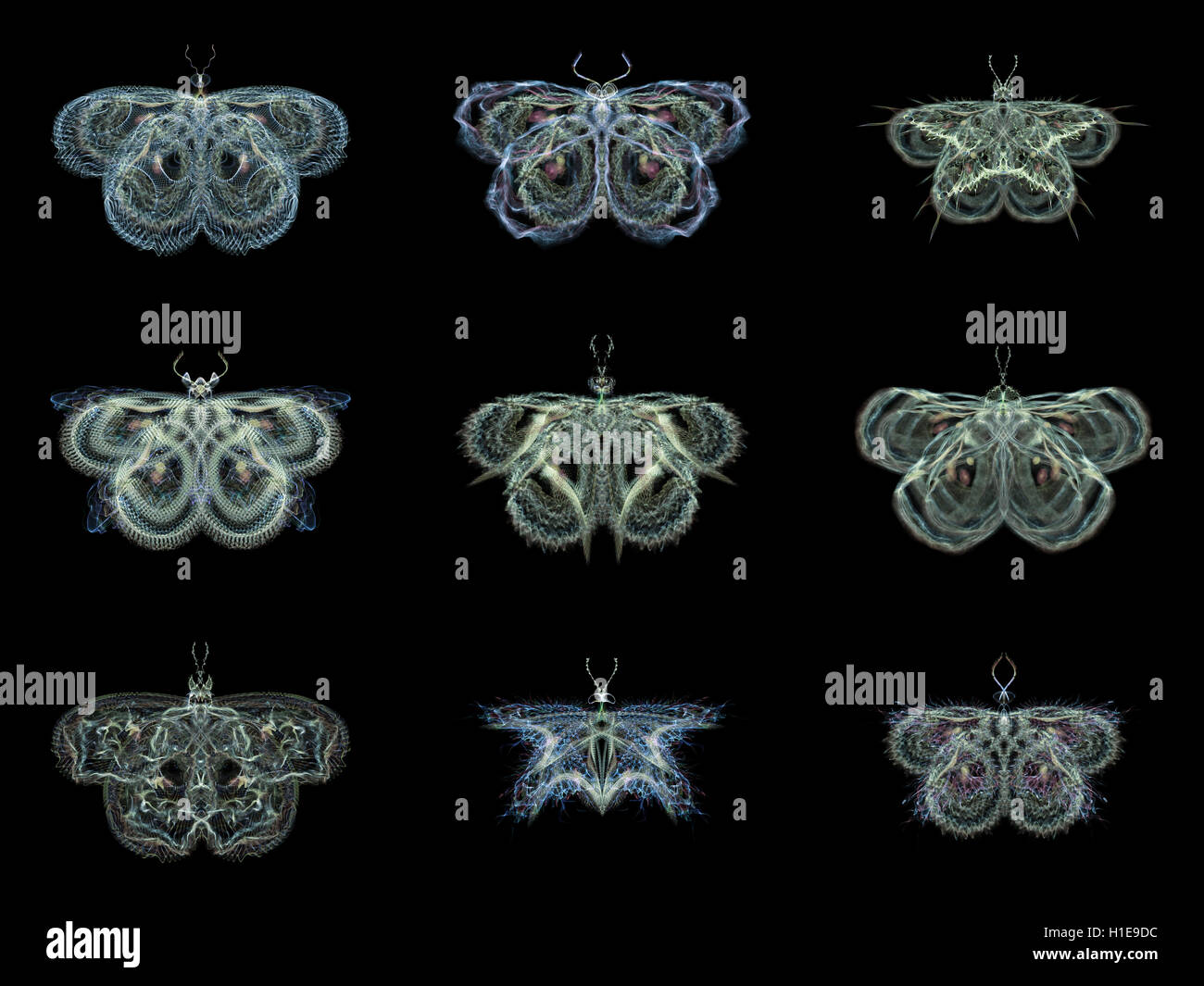 Detailed pattern of butterflies hi-res stock photography and images - Alamy