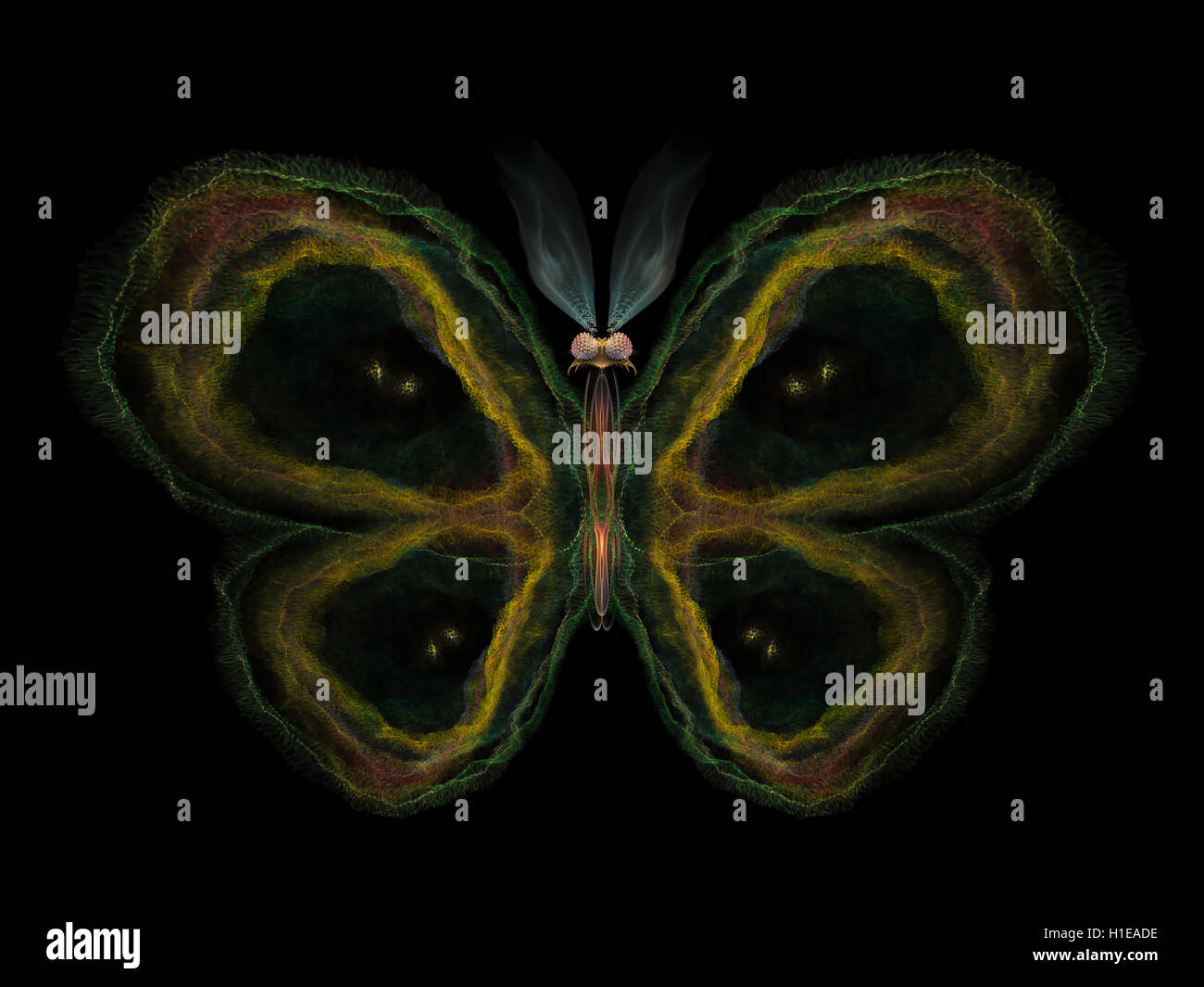 Magic of Butterfly Stock Photo - Alamy