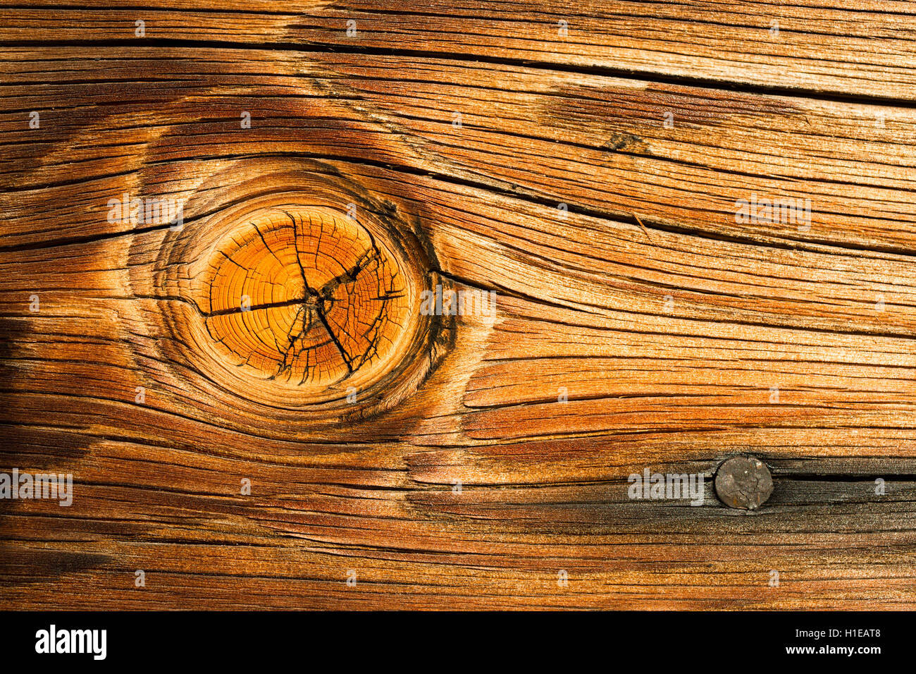 Lumber Gnarl Wood Knot Lumber Plank Macro One Burnt Nail Stock Photo ...