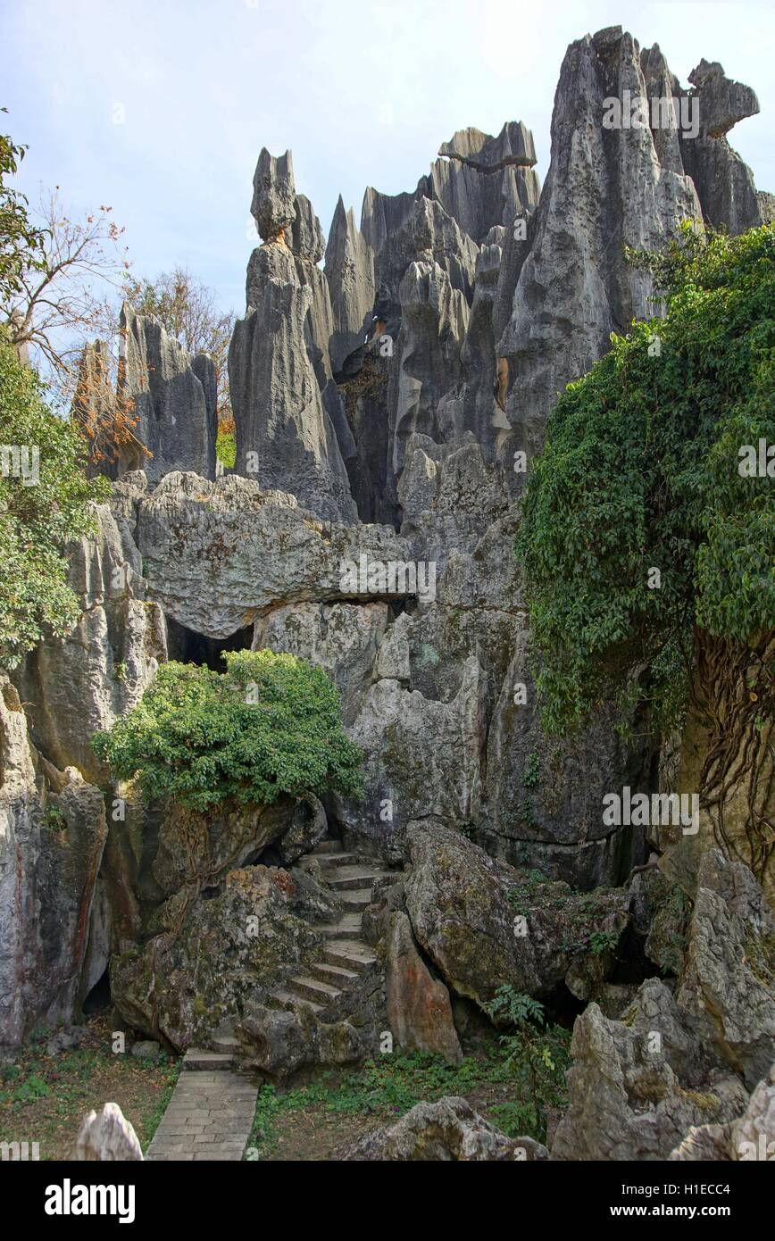 Shilin Stone Forest in Kunming, Yunnan, China Stock Photo - Alamy