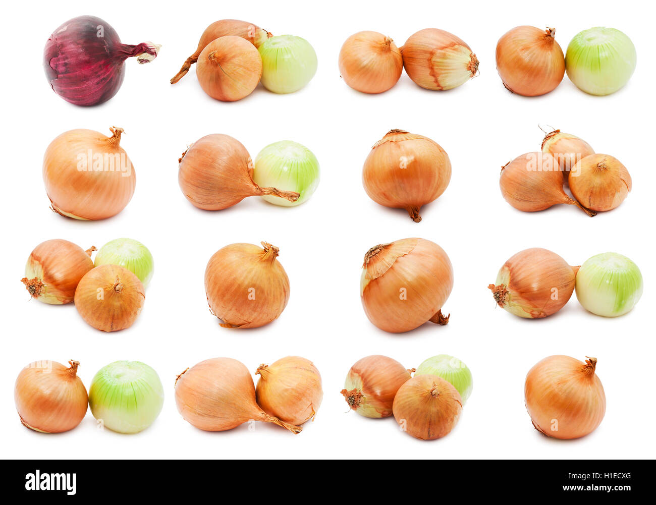 Onion set collection hi-res stock photography and images - Alamy
