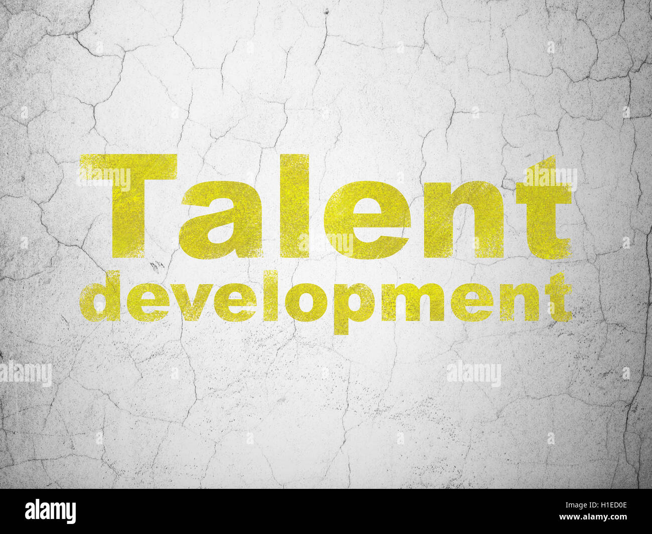 Education concept: Talent Development on wall background Stock Photo ...