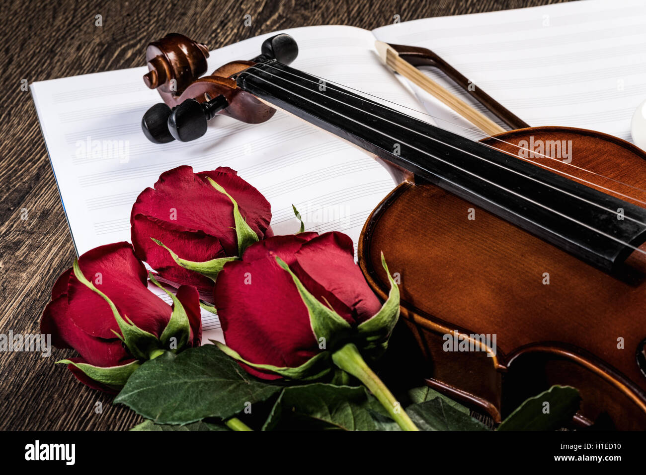 Old violin musical notes rose hi-res stock photography and images - Alamy
