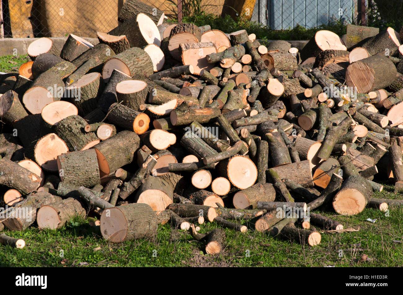 stack of cut trees Stock Photo - Alamy