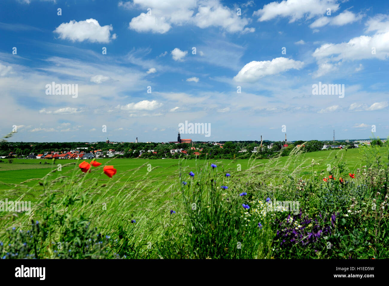 swidnica, silesia, dolnoslaskie, poland, landscape, travel Stock Photo ...