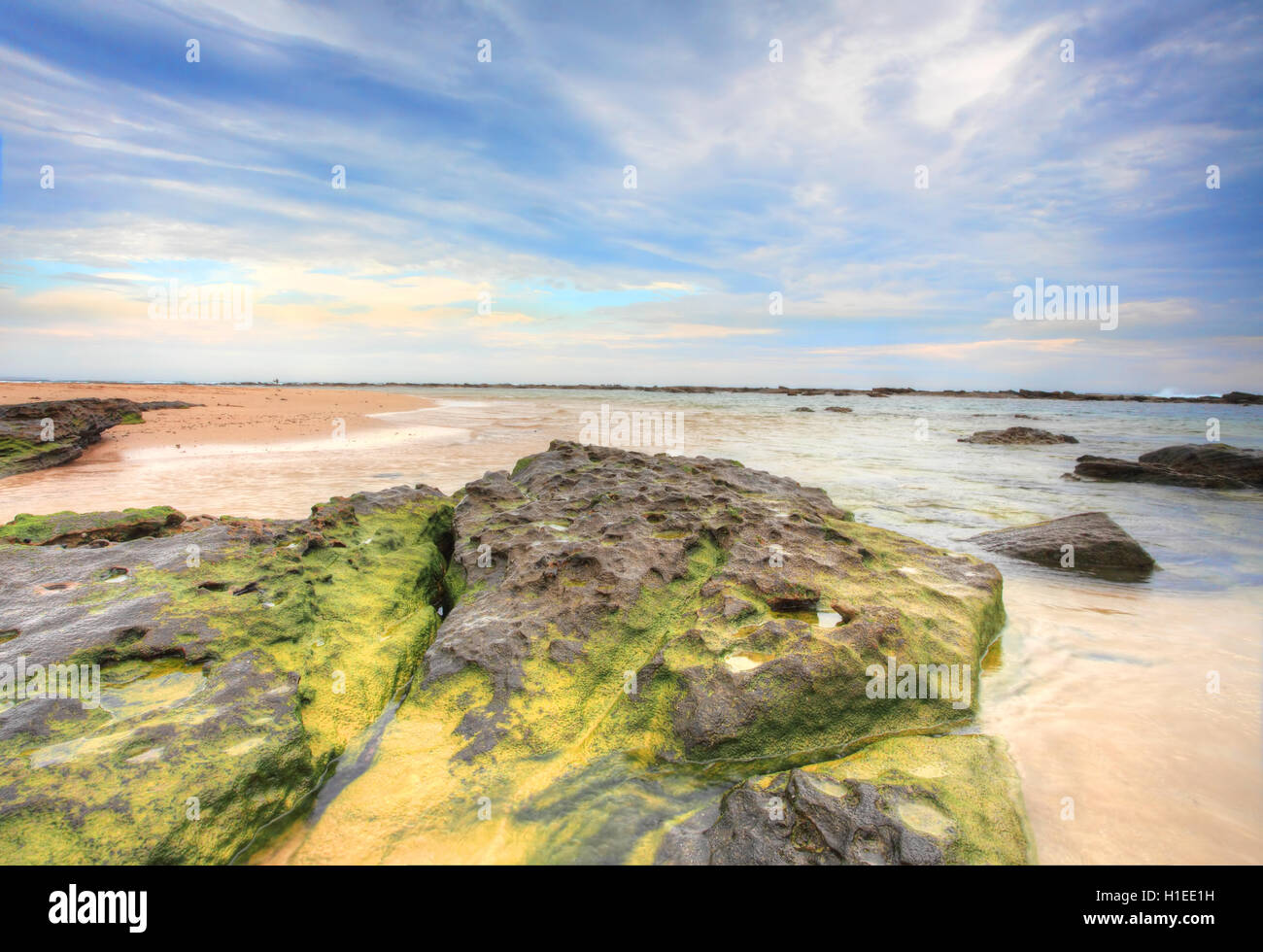 Wispy moss hi-res stock photography and images - Alamy