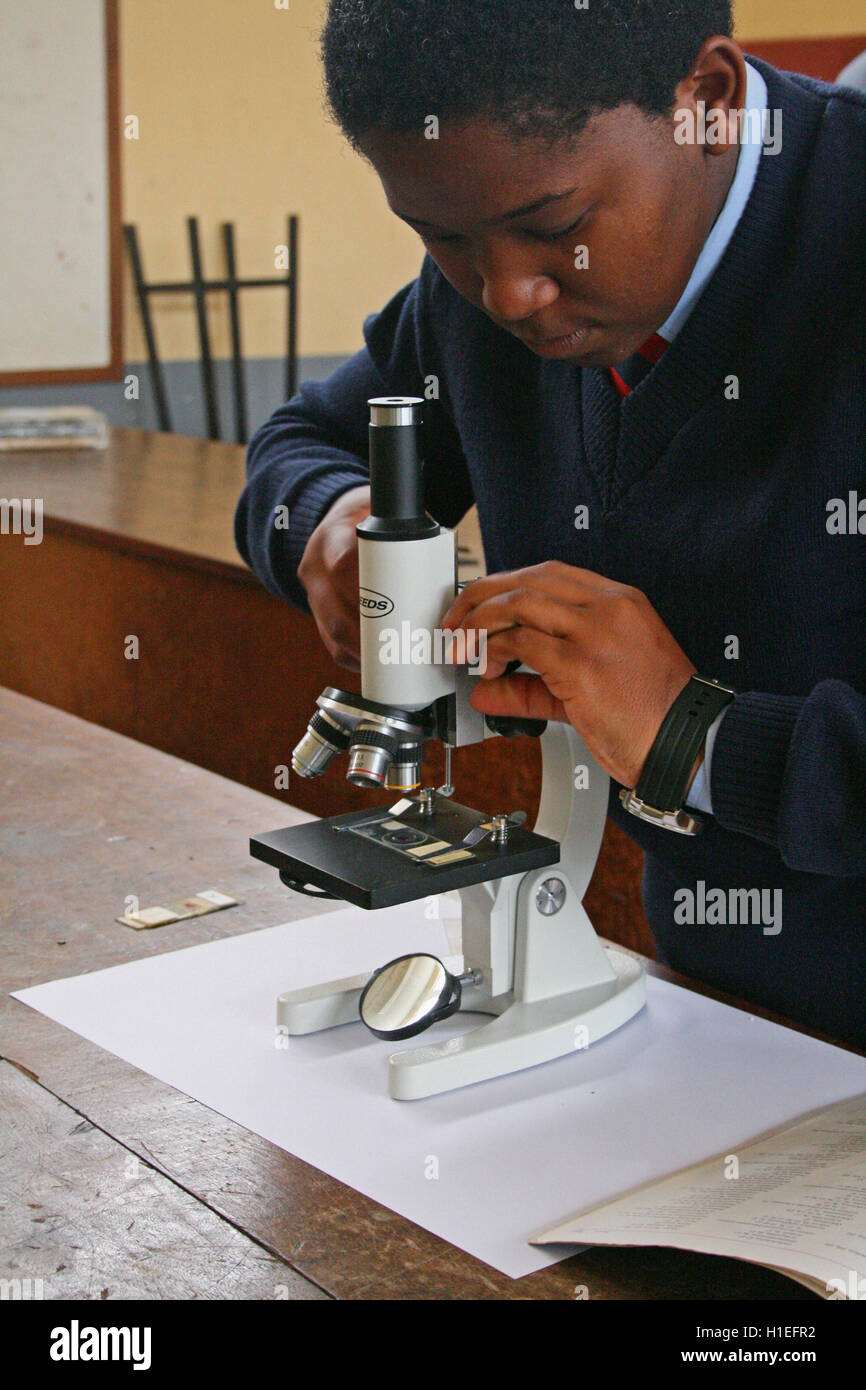 School girl using microscope in school lab, St Mark's School, Mbabane ...