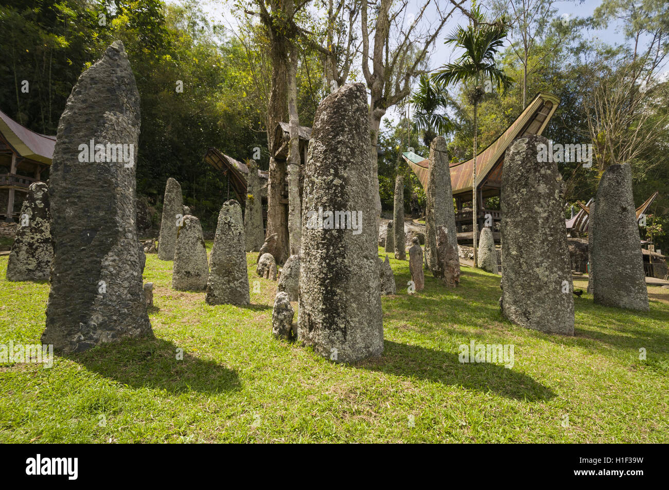 Megalithic rituals hi-res stock photography and images - Alamy