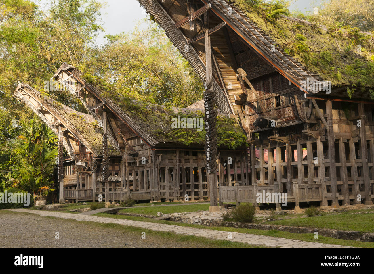 Indonesia, Sulawesi, Tana Toraja, Ke'te Kesu, village with Torajan ...