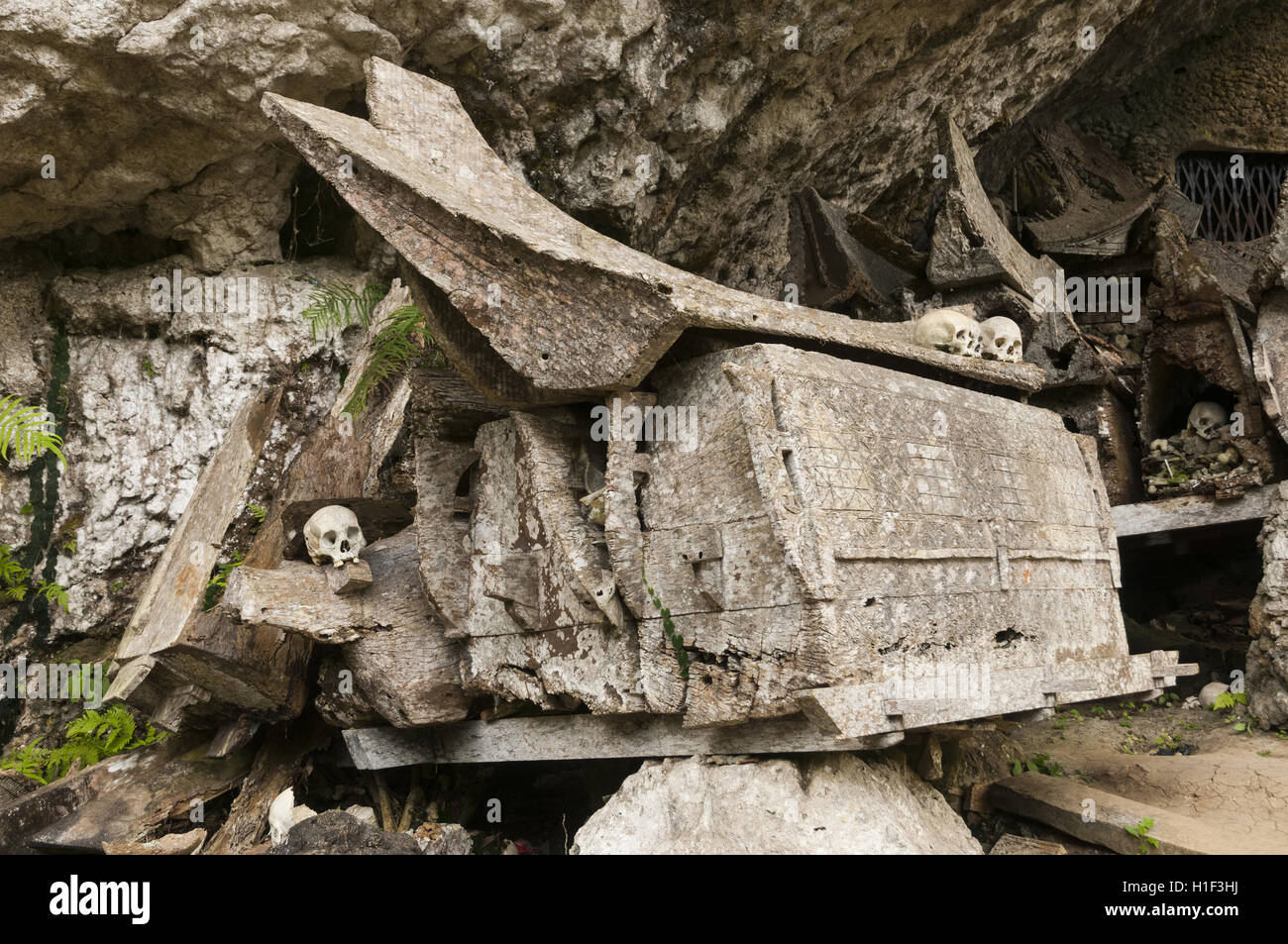 Indonesia, Sulawesi, Tana Toraja, Londa, Torajan burial cliff, hanging ...