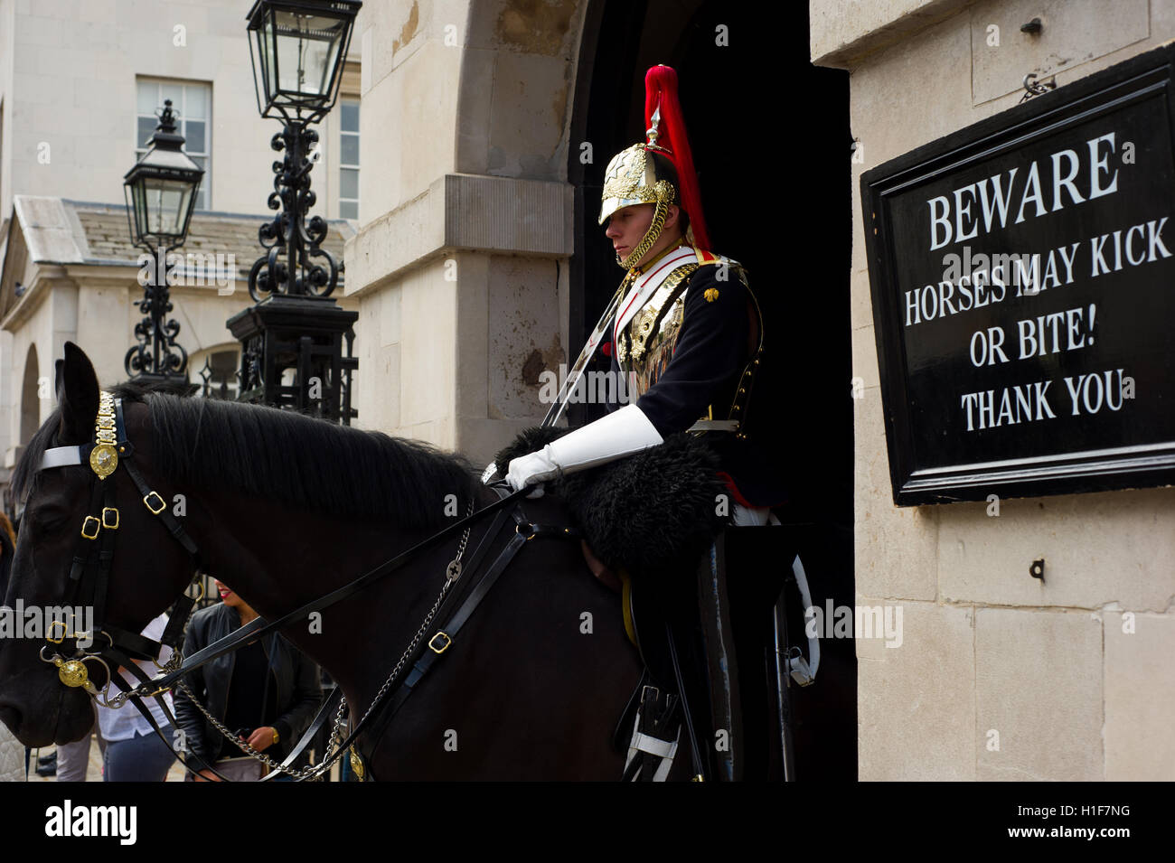 Mounted trooper from the Household Cavalry Mounted Regiment on duty ...