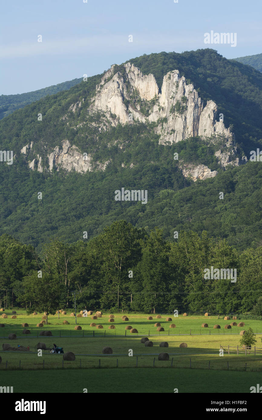 West Virginia, Seneca Rocks, landscape Stock Photo - Alamy