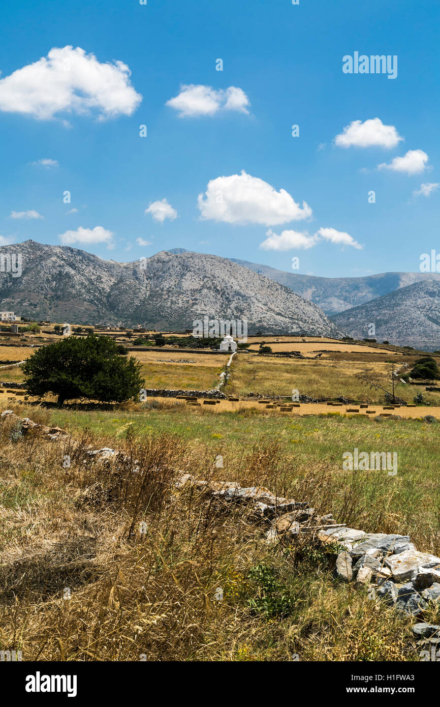 greek landscape with meadow, mountain and blue sky, white chapel Stock ...