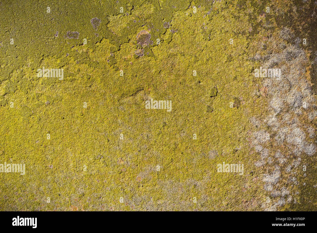 vintage yellow rendered wall background Stock Photo - Alamy