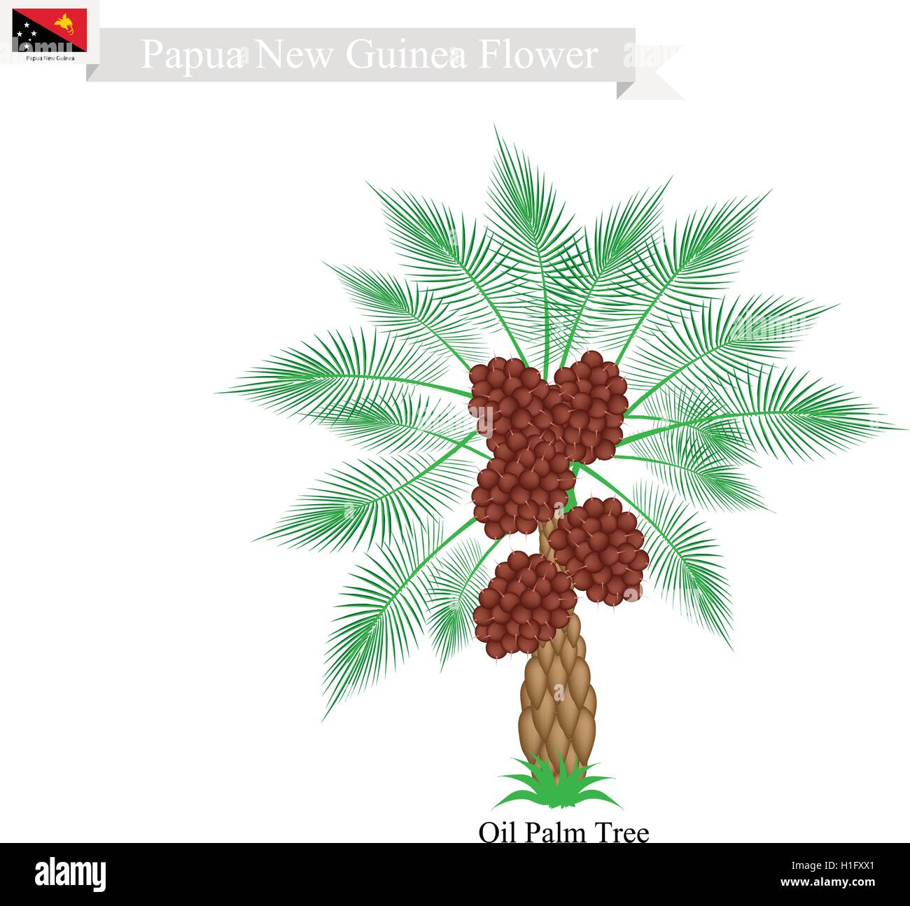 Palm Oil Tree Png