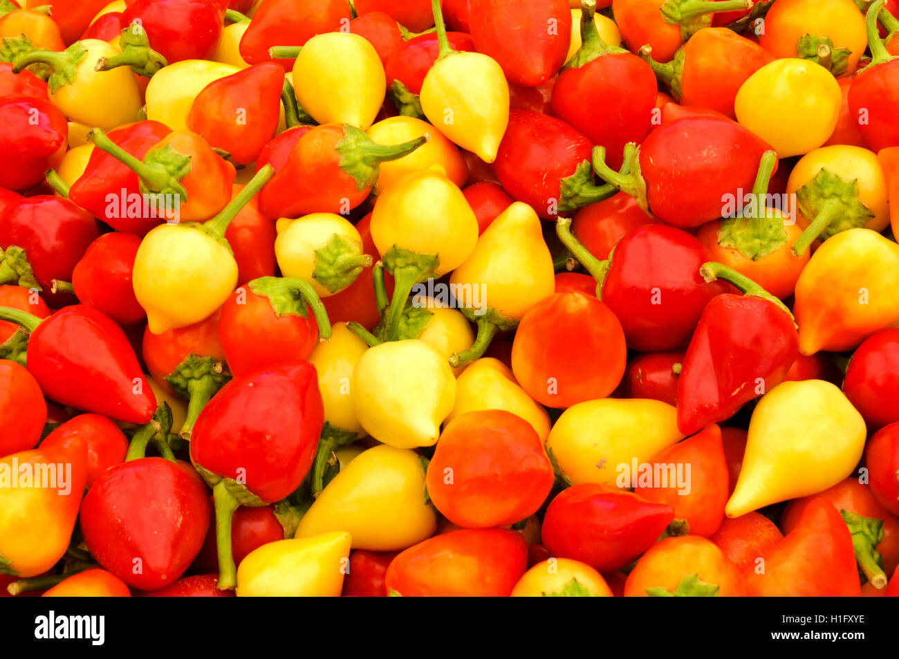 Papper garden hi-res stock photography and images - Alamy