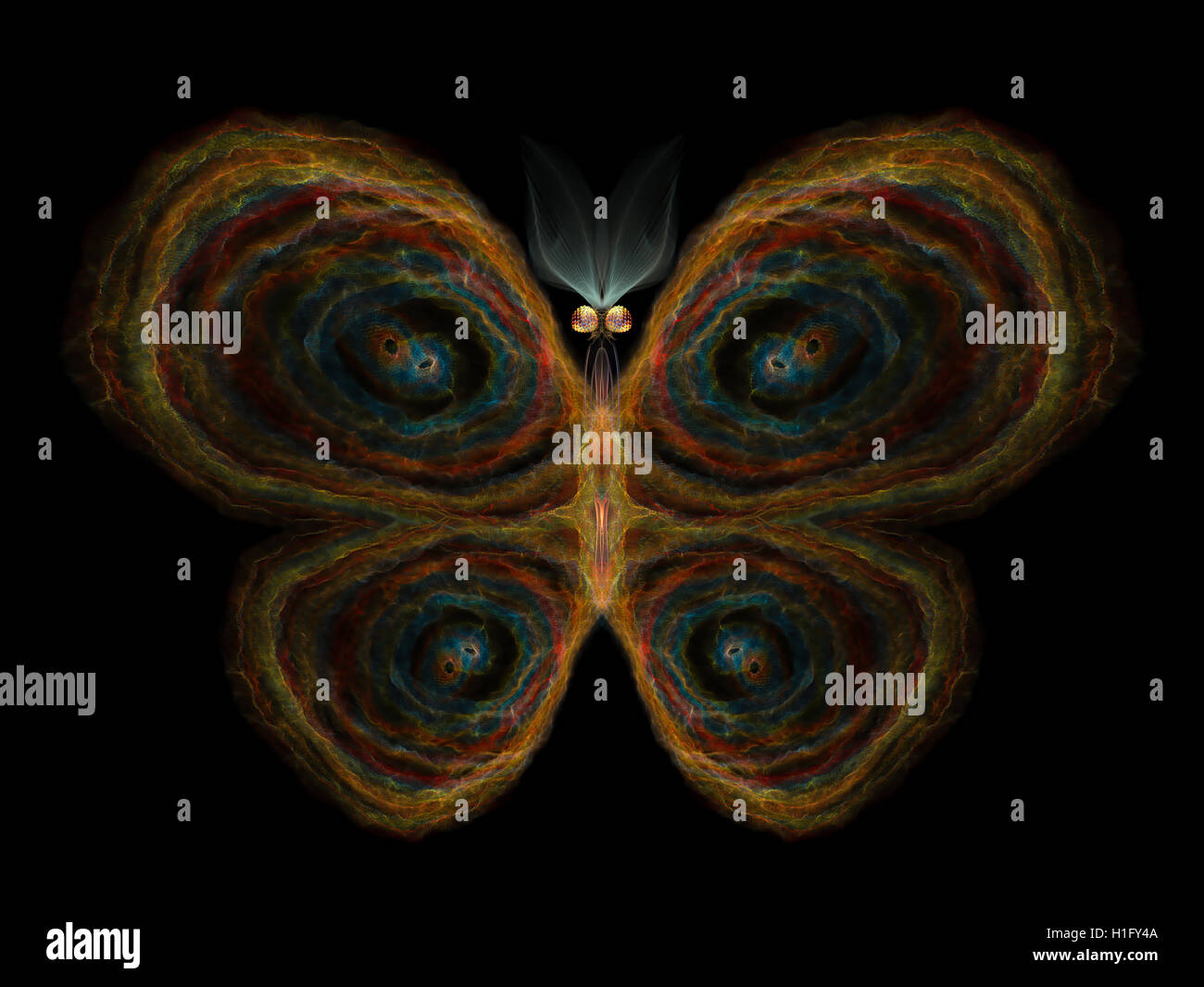 Digital butterfly hi-res stock photography and images - Alamy