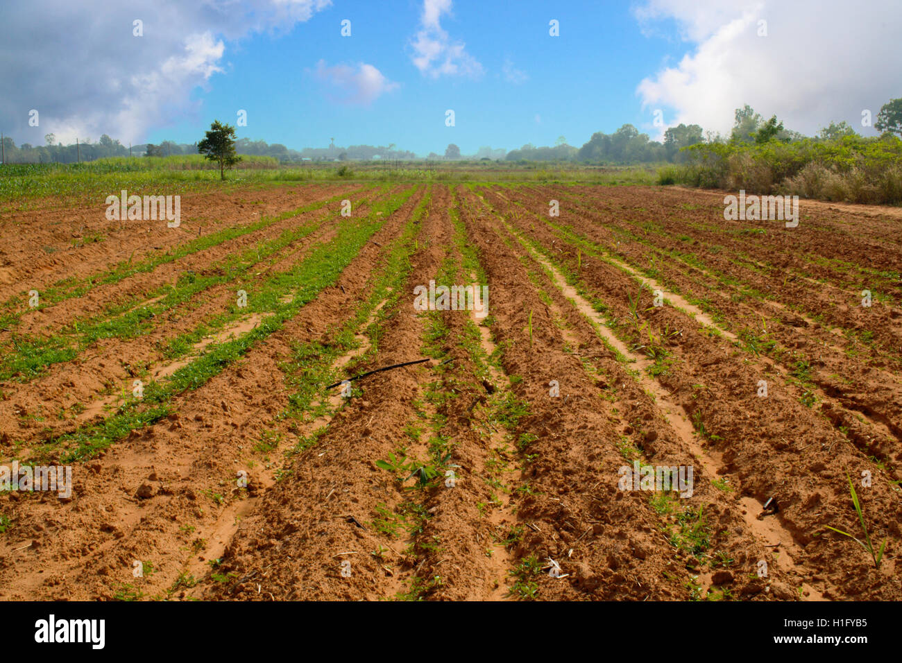 Soil soil land land hi-res stock photography and images - Alamy