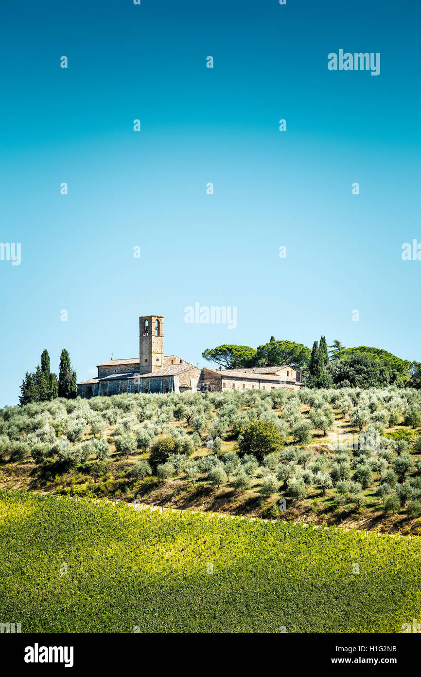 Italian olive farm hi-res stock photography and images - Alamy