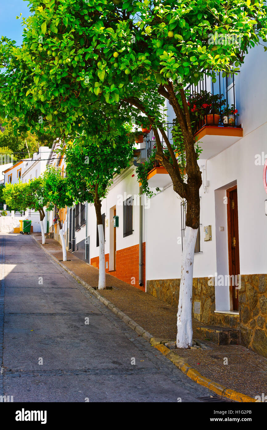 Lemon tree passage hi-res stock photography and images - Alamy