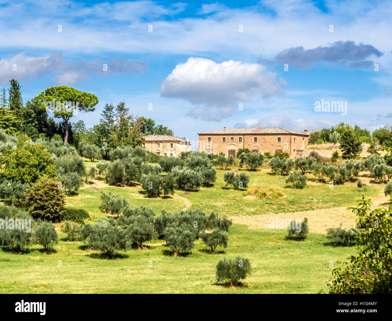 Tuscany italy italian house mansion trees hi-res stock photography and ...