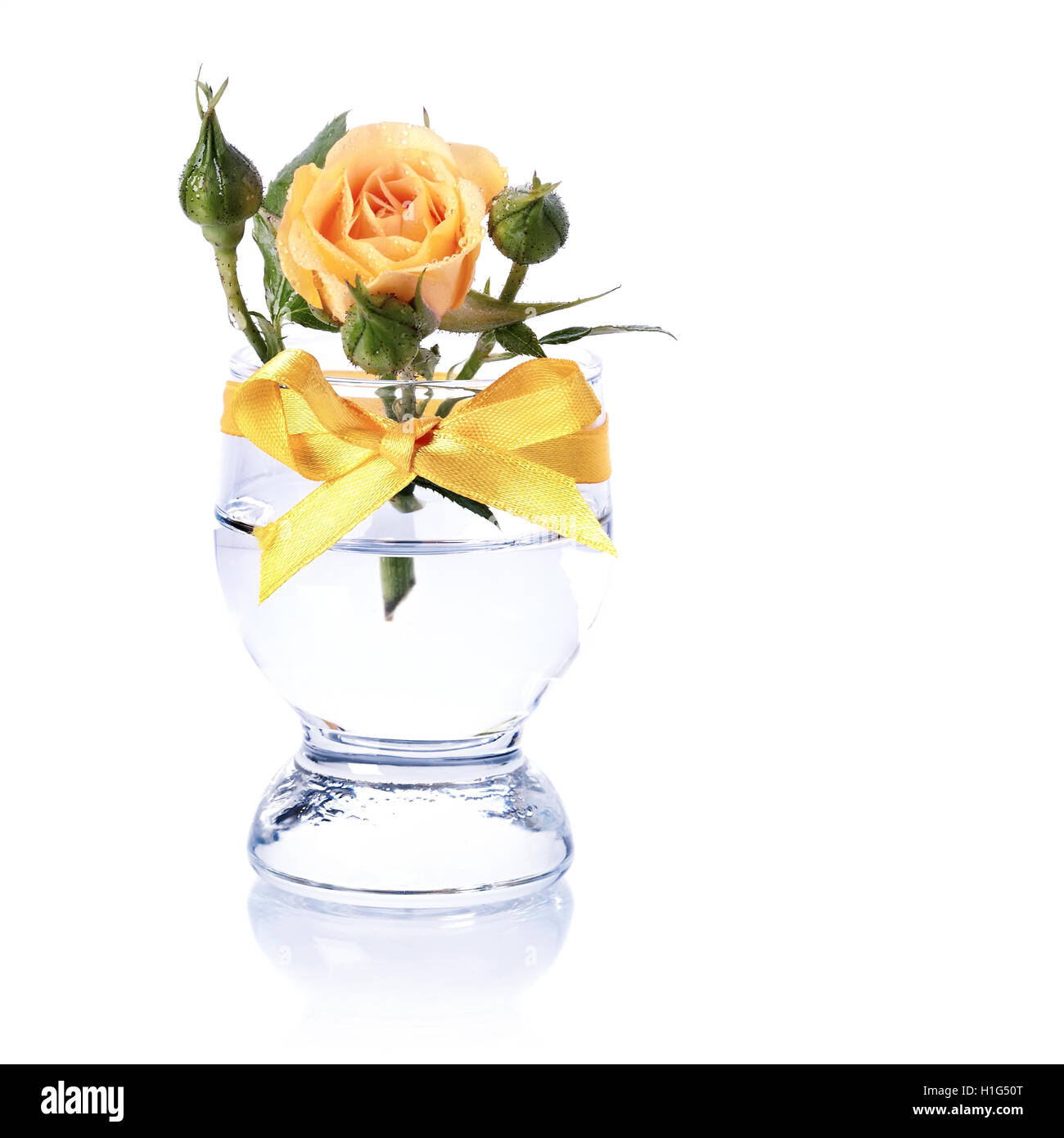 Spray of yellow roses Cut Out Stock Images & Pictures - Alamy