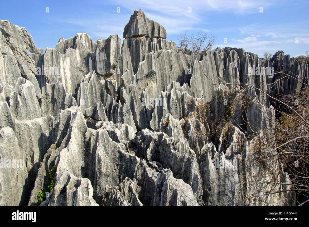 Shilin Stone Forest in Kunming, Yunnan, China Stock Photo - Alamy