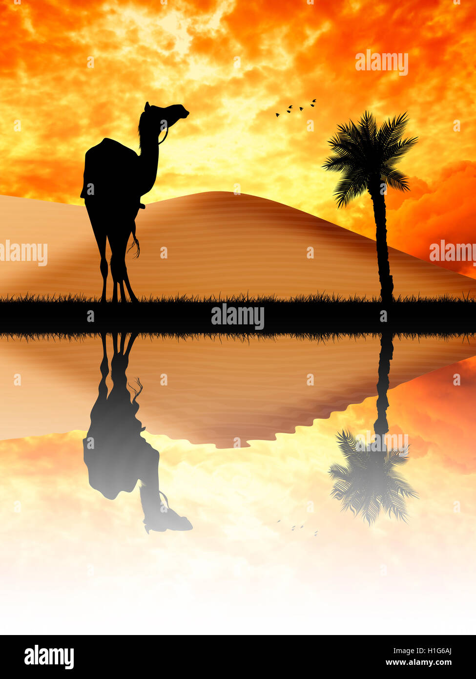 camel in the desert Stock Photo - Alamy