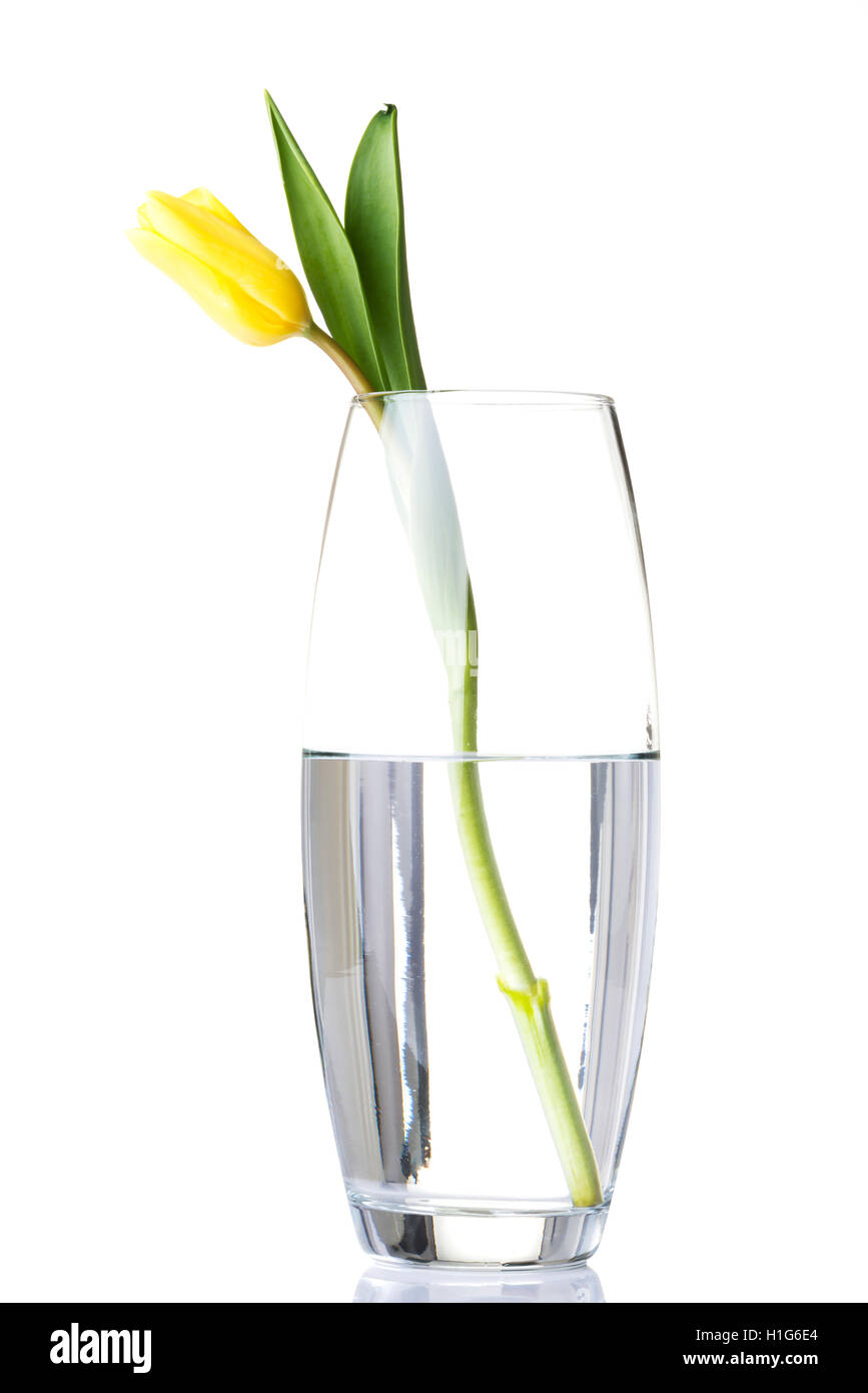 White wase hi-res stock photography and images - Alamy