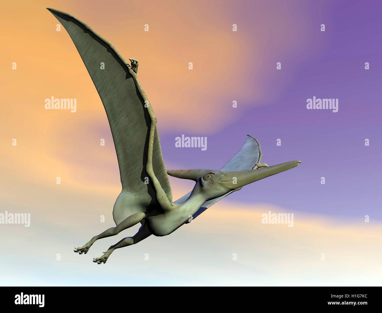 Pteranodon dinosaur flying - 3D render Stock Photo - Alamy