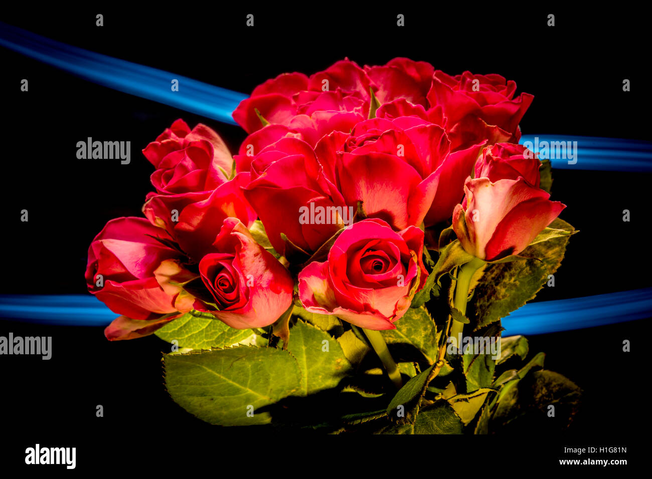 Roses with lights Stock Photo - Alamy