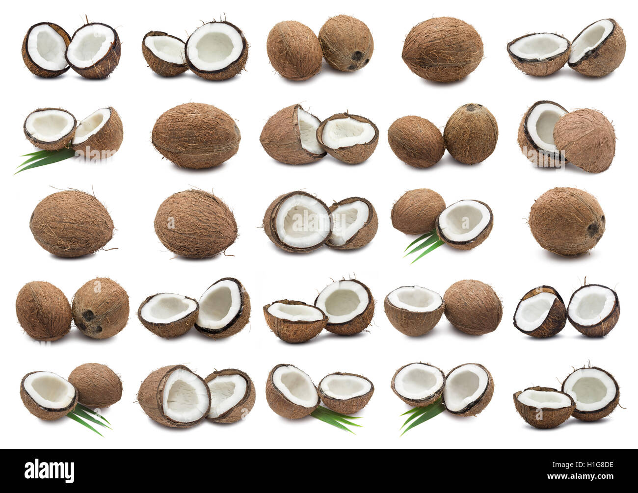 Set of coconuts hi-res stock photography and images - Alamy