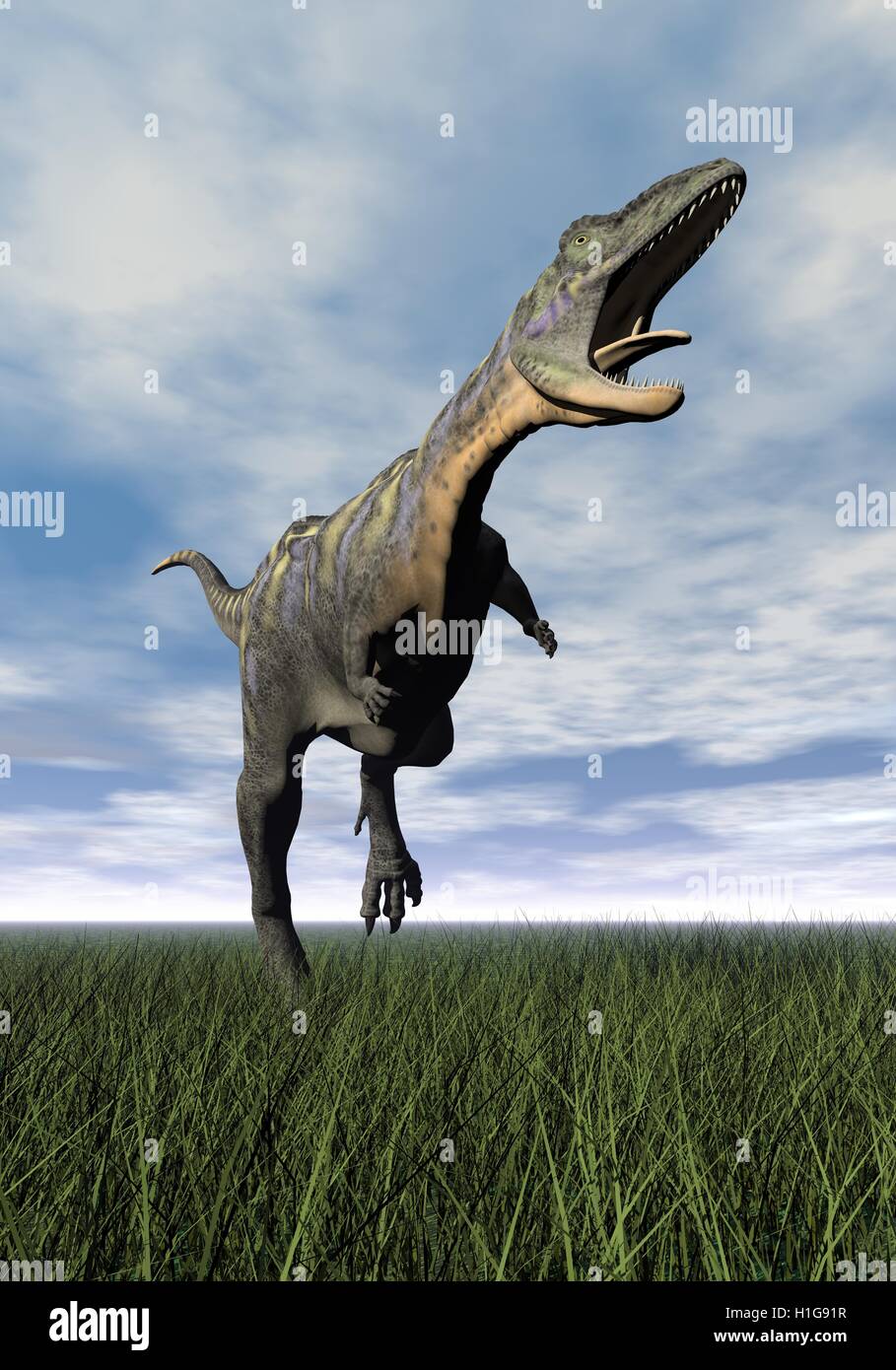 Aucasaurus dinosaur - 3D render Stock Photo - Alamy
