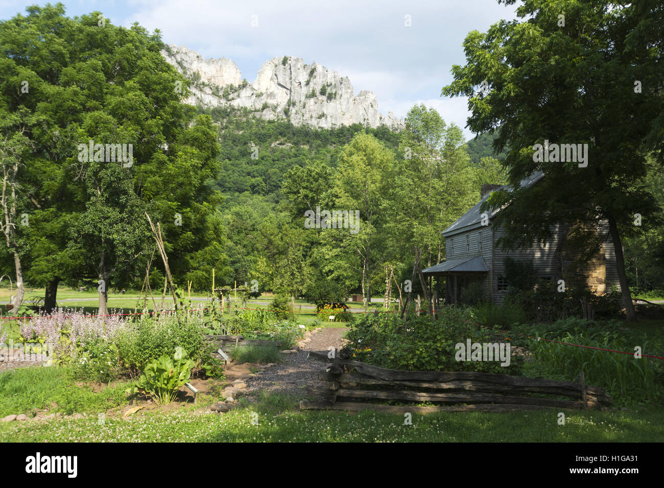 West Virginia, Seneca Rocks, Sites Homestead Stock Photo - Alamy