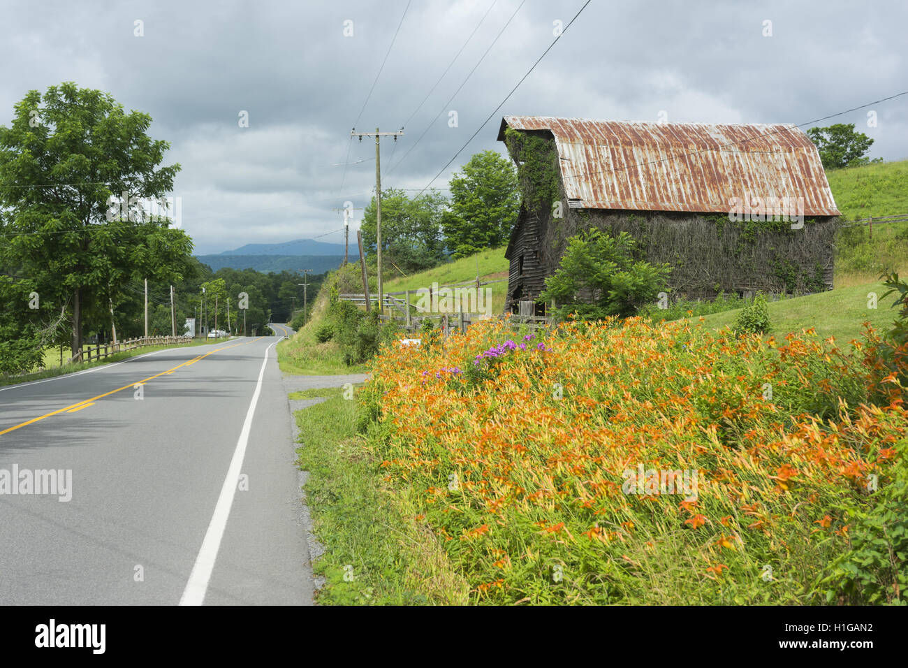 West Virginia, Marlinton, old barn with wildflowers Stock Photo - Alamy