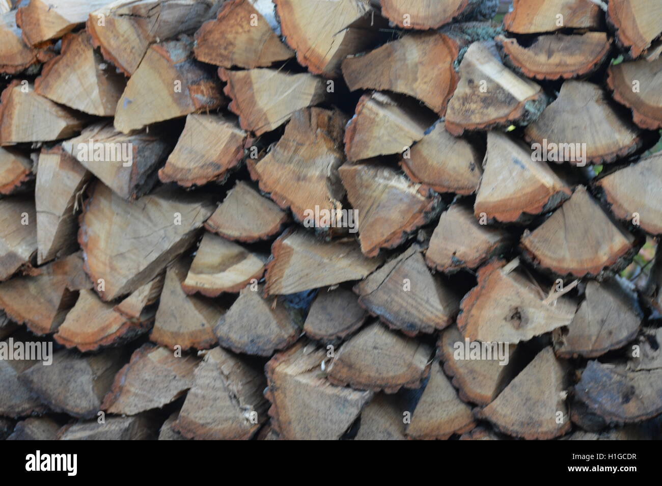 Stacked oak firewood in Pasadena, Anne Arundel County, Maryland Stock ...