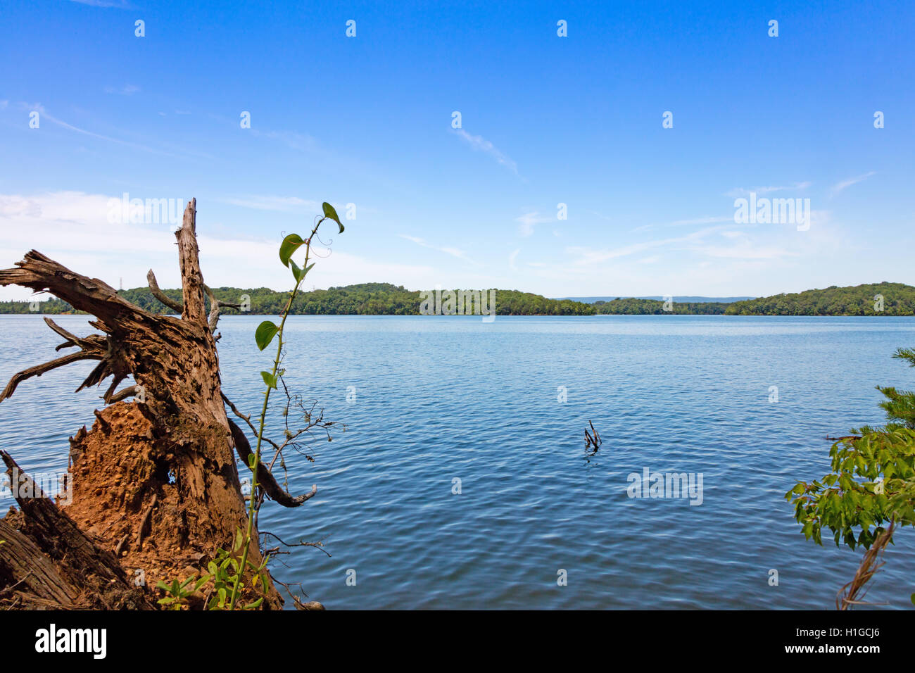 Piney River Shoals near Watts Bar Dam in Meigs county, Tennessee Stock ...
