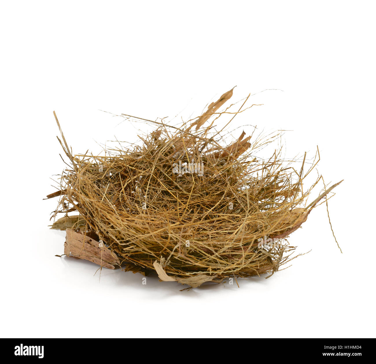 Empty nest hi-res stock photography and images - Alamy