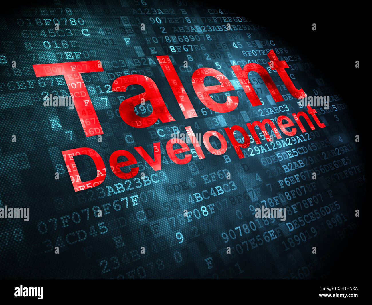 Education concept: Talent Development on digital background Stock Photo ...