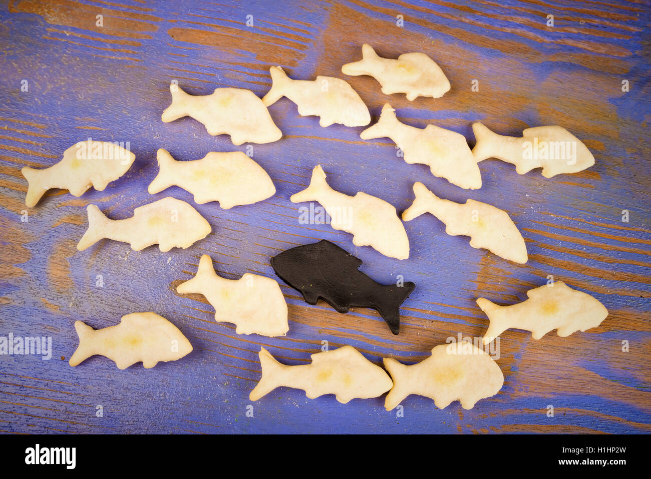 Swimming against the stream, a conceptual shot with fish shaped cookies ...
