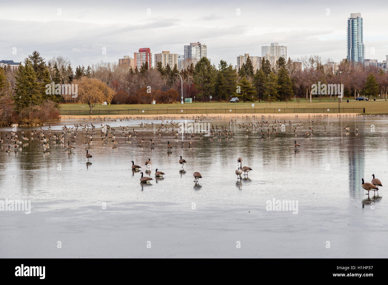 Edmonton water park hi-res stock photography and images - Alamy