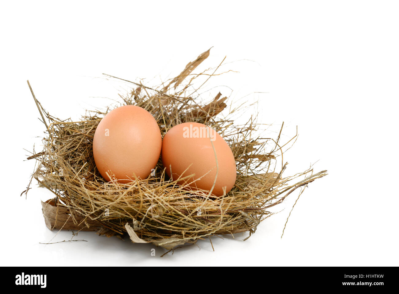 Egg in a Nest Stock Photo - Alamy